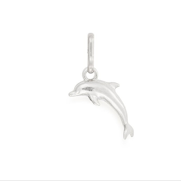 Alex and Ani | Jewelry | Nwt Alex And Ani Silver Dolphin Chain Station ...